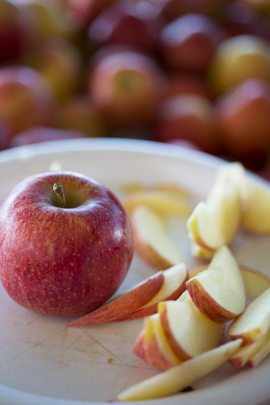 Fructose, Killing Us Softly? - Bill Giles and Larisa Zoska